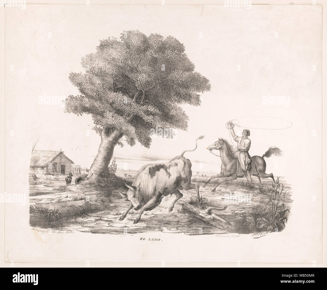 Lazo hi-res stock photography and images - Alamy