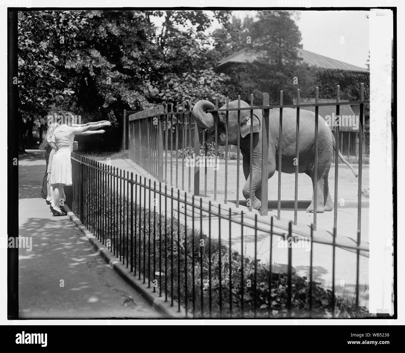 Vintage zoo animals hi-res stock photography and images - Alamy