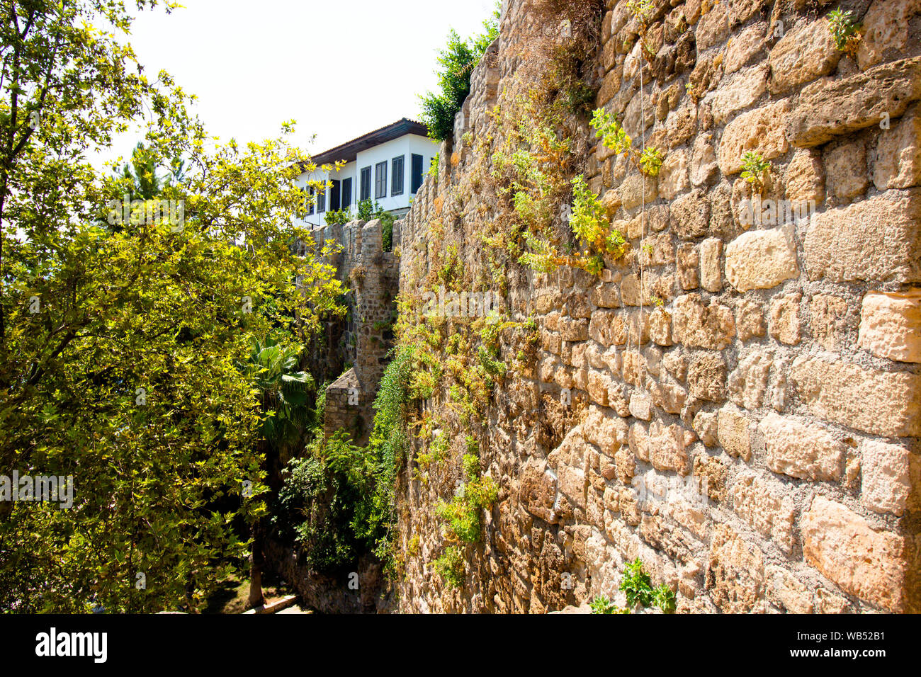 Part of an ancient stone structure. A wall of stone blocks overgrown ...