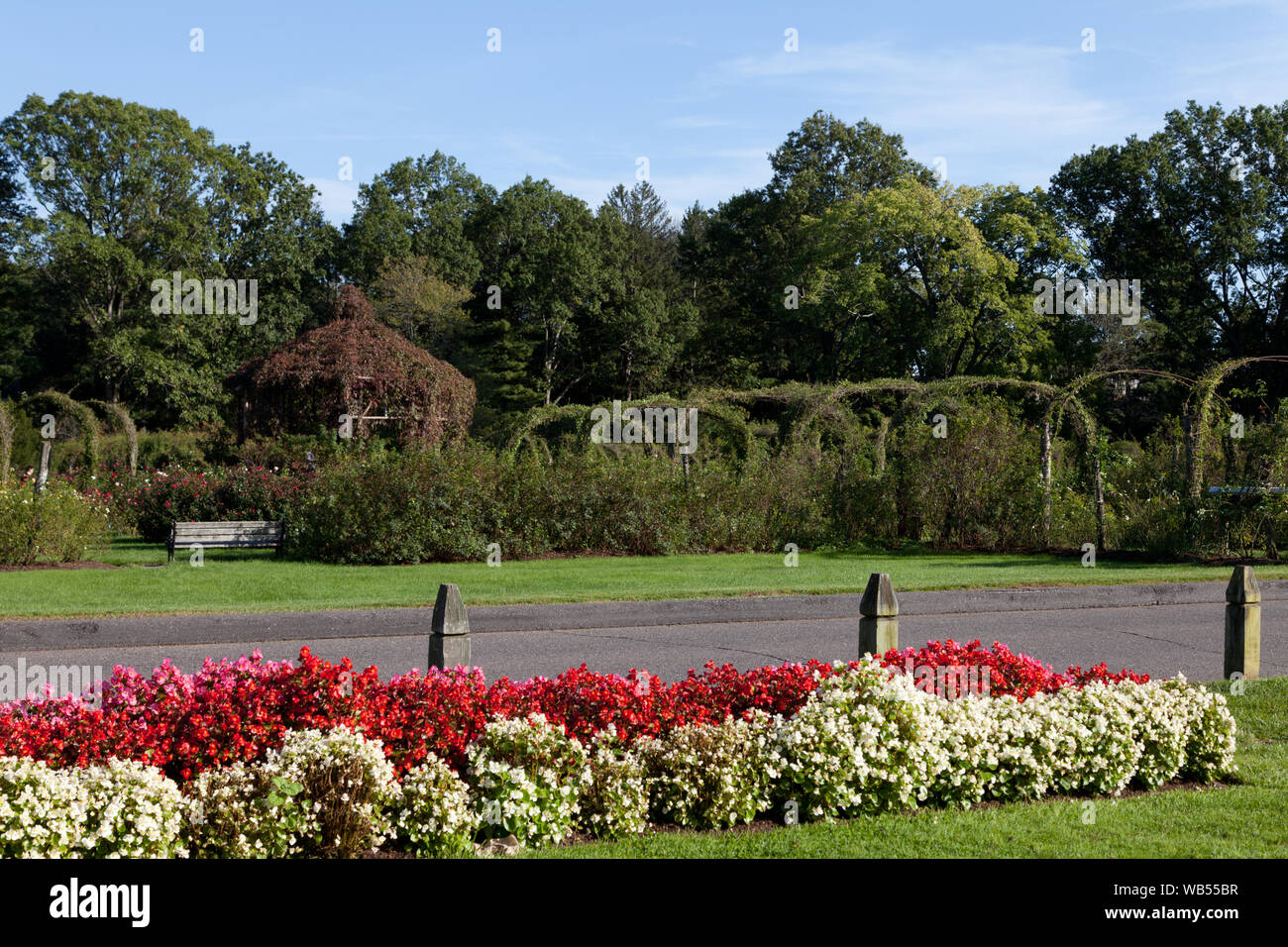 Elizabeth Park Rose Garden in Hartford, Connecticut Stock Photo - Alamy