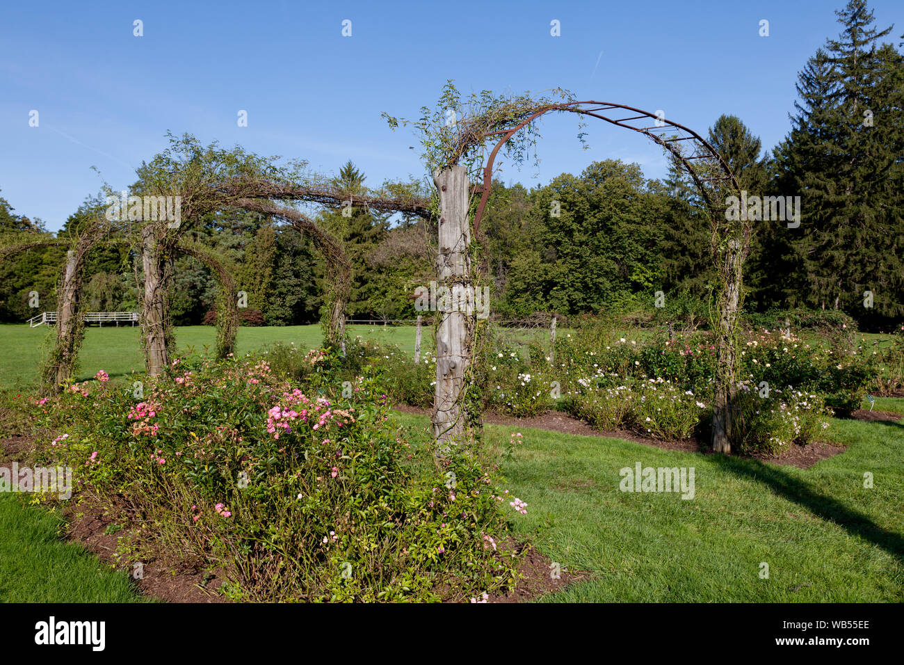 Elizabeth Park Rose Garden located in Hartford, Connecticut Stock Photo ...