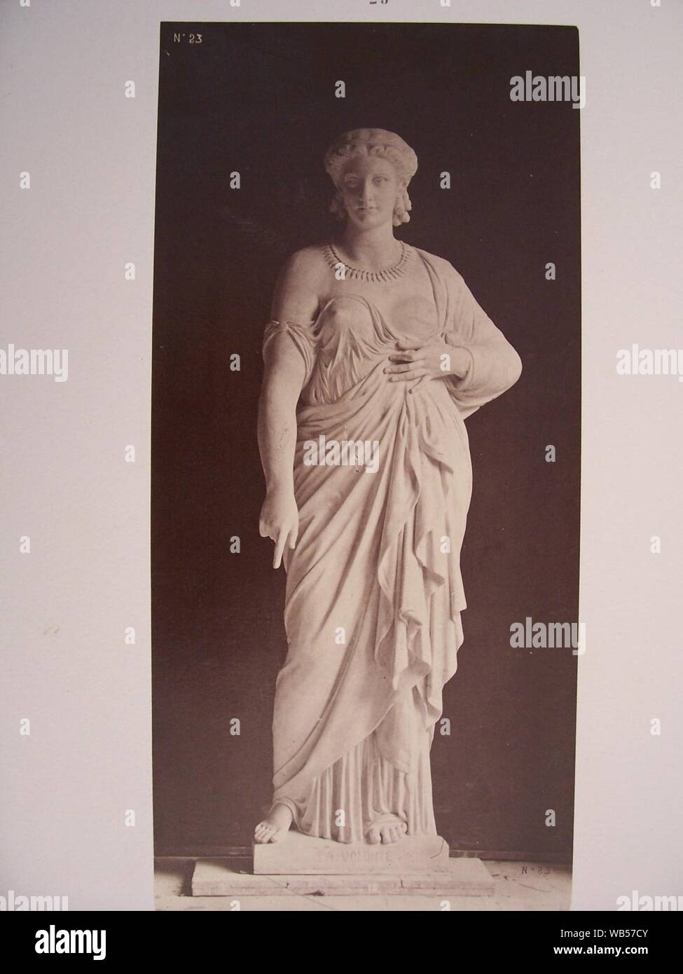 Volonte hi-res stock photography and images - Alamy