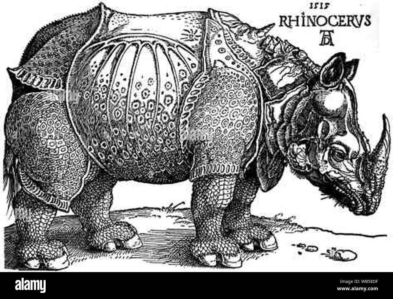 Durer rhinoceros hi-res stock photography and images - Alamy