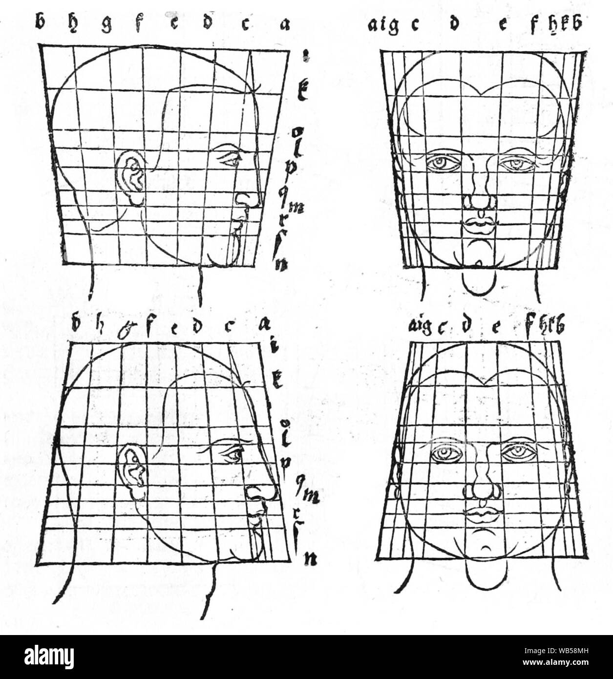 Durer face transforms Stock Photo - Alamy