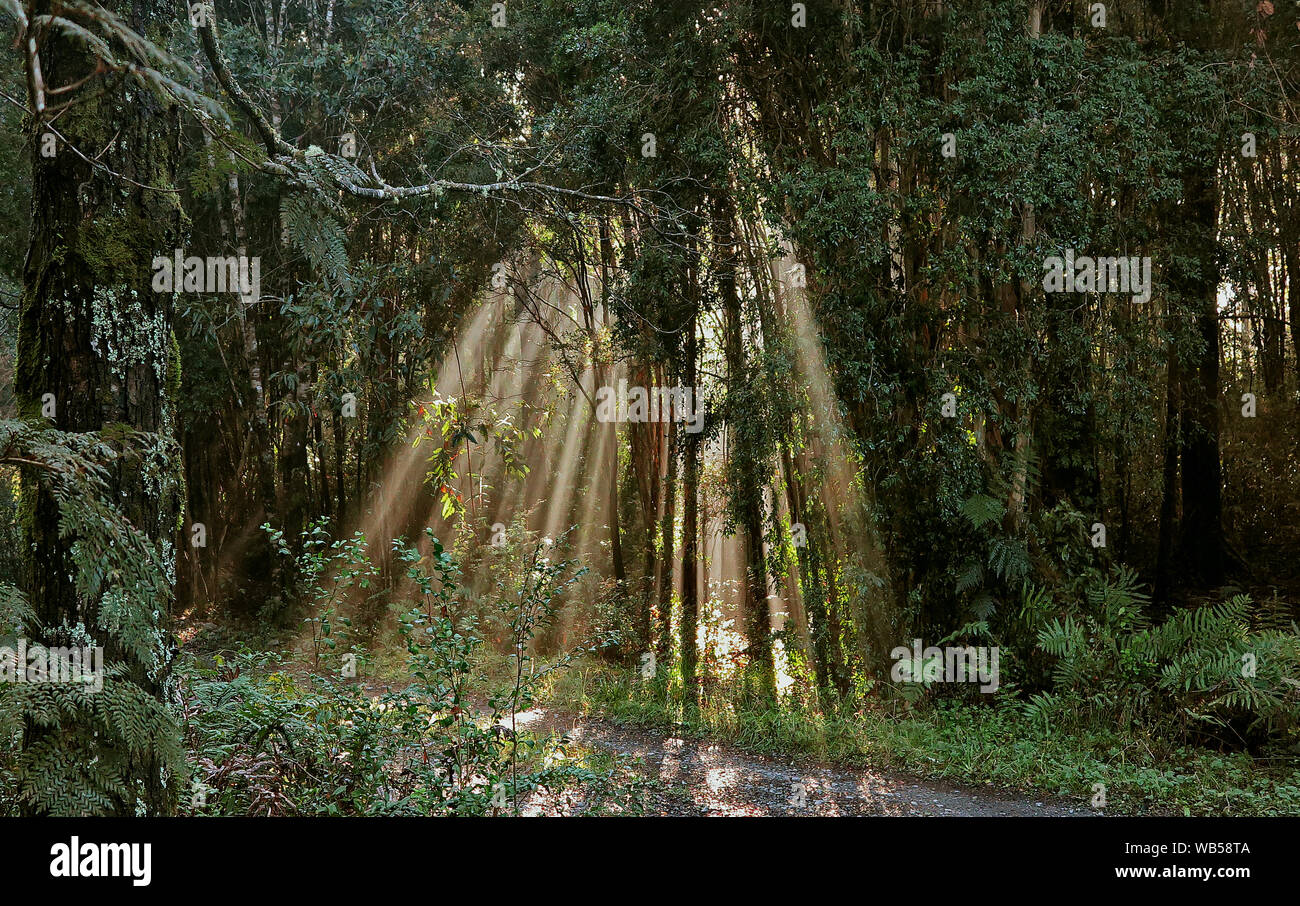 rayos de sol Stock Photo - Alamy