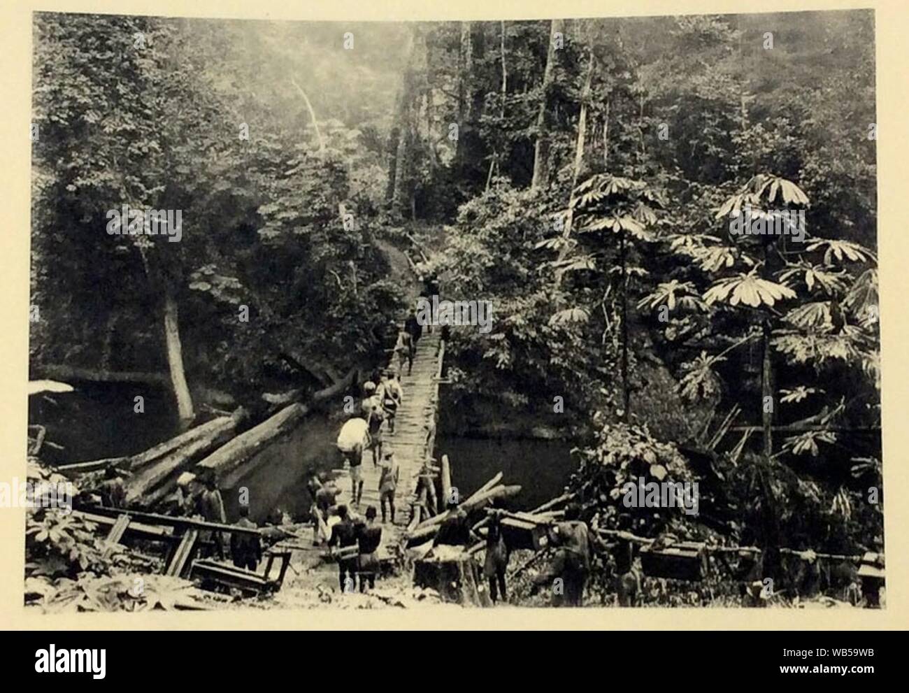 Forced labor congo hi-res stock photography and images - Alamy