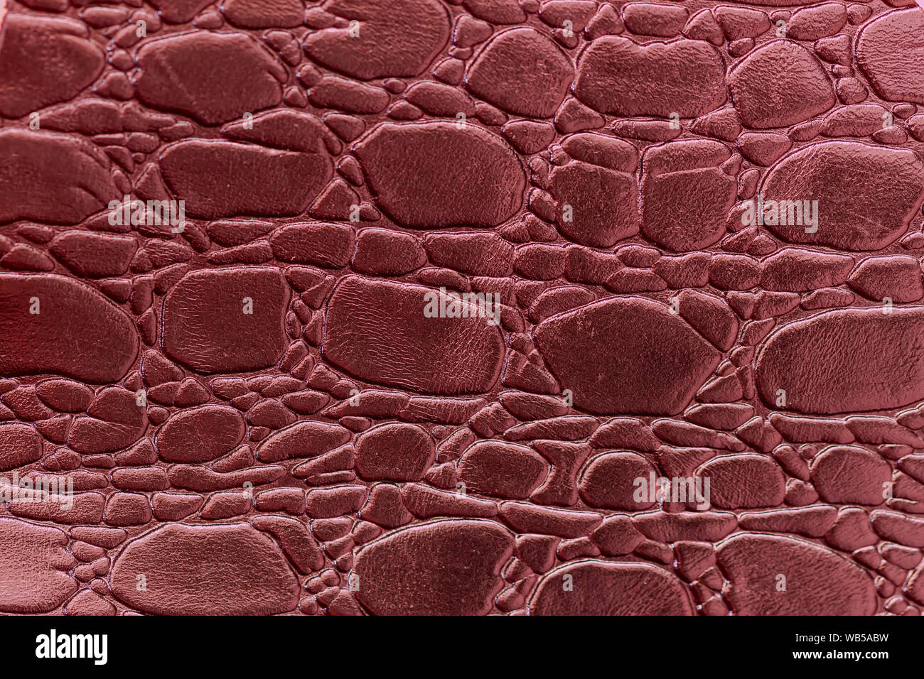 Texture of genuine leather close-up, embossed under the skin of ...