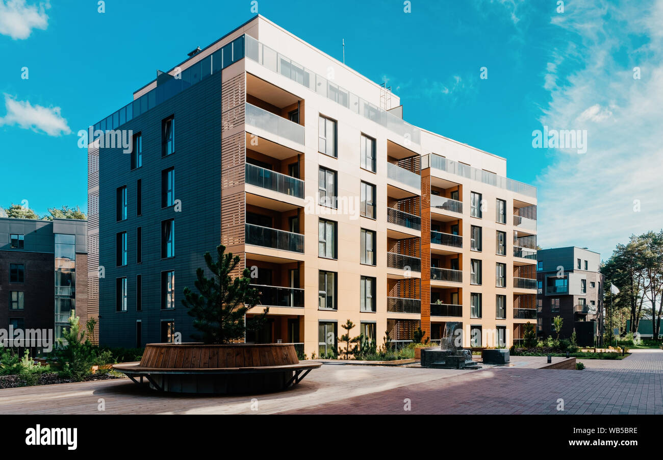 EU Pine tree at architectural complex of residential buildings. And ...