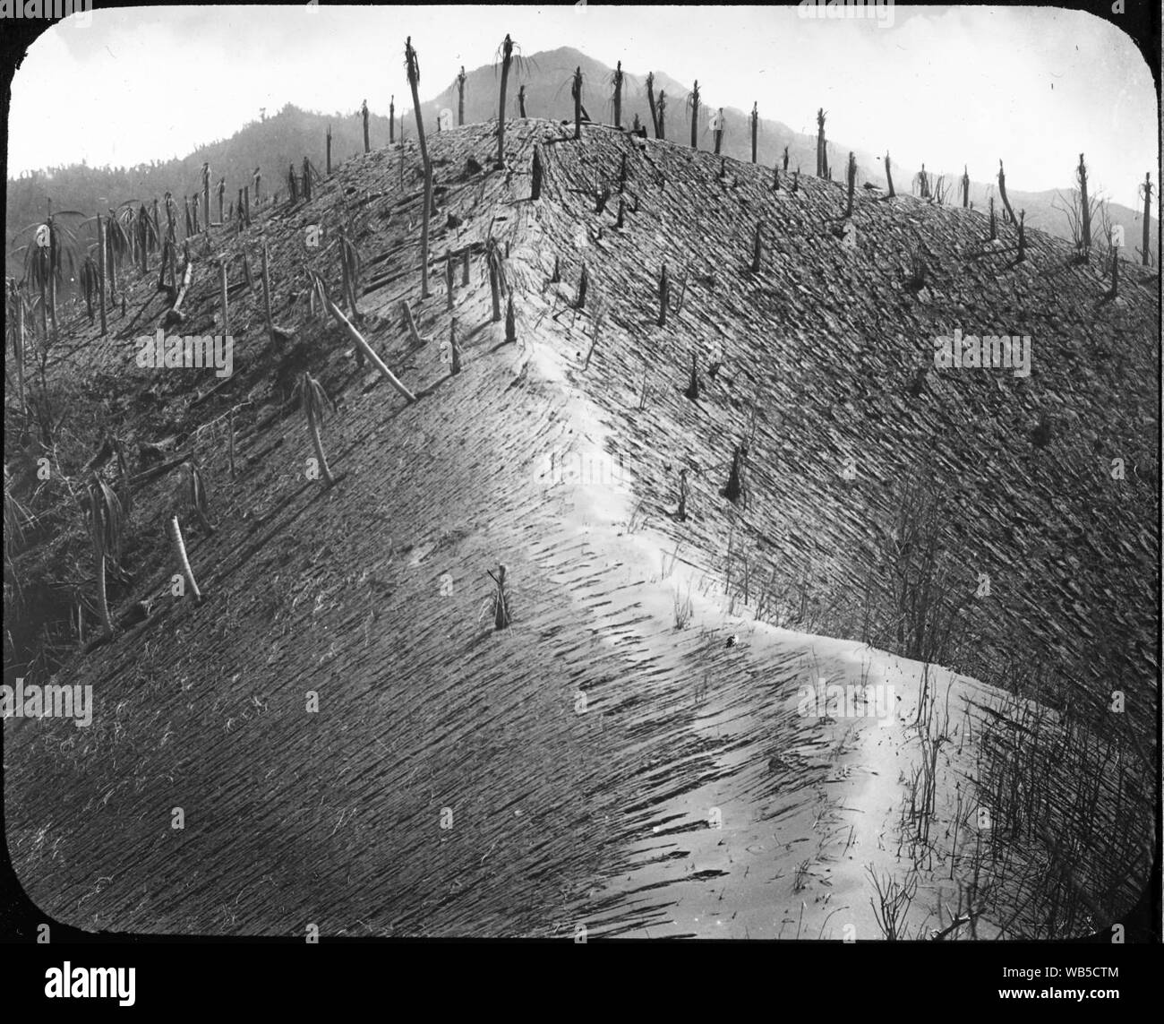 Covered with dust Black and White Stock Photos & Images - Alamy