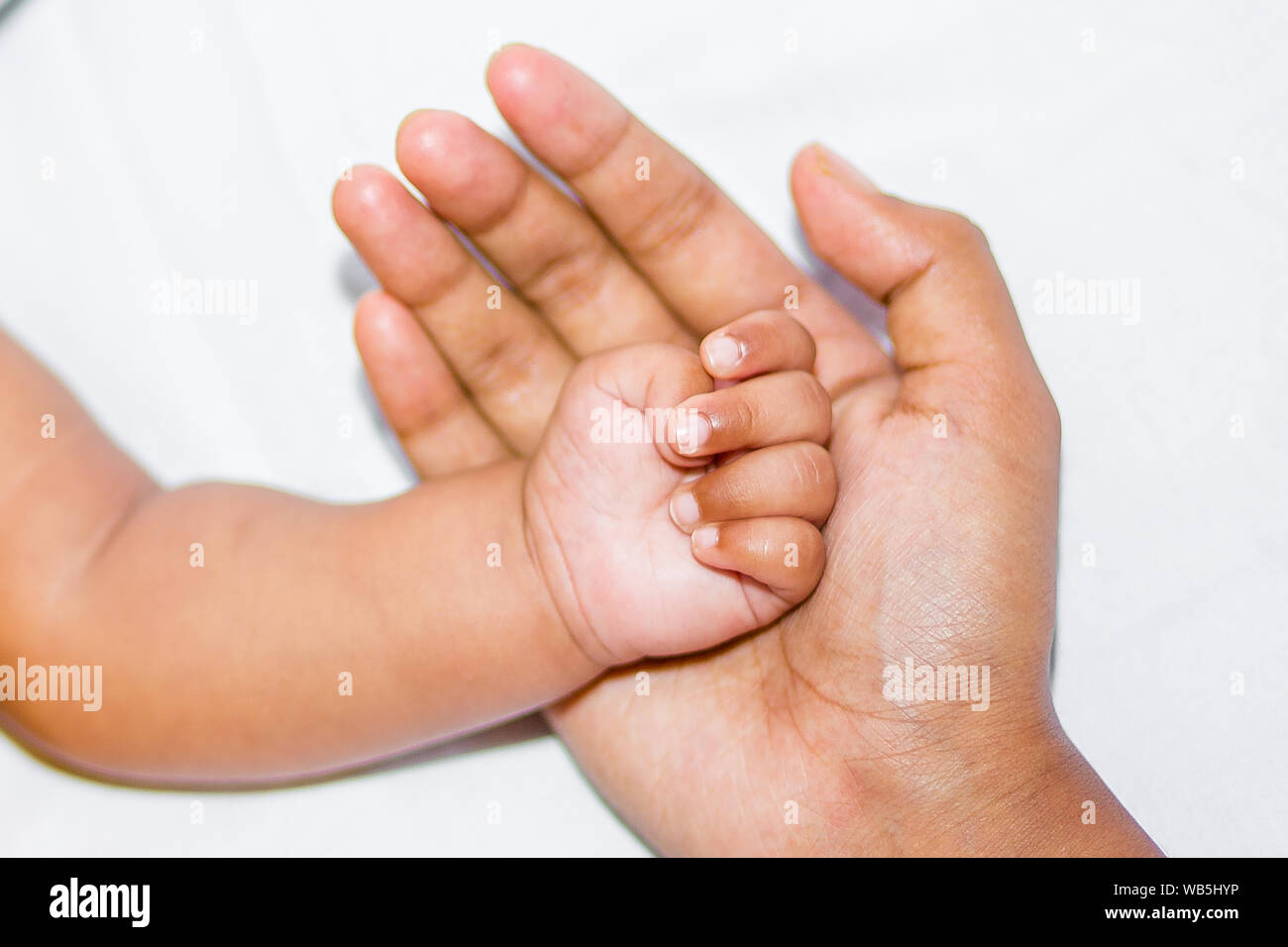 A new born baby's soft hand on mother's hand on a white background ...
