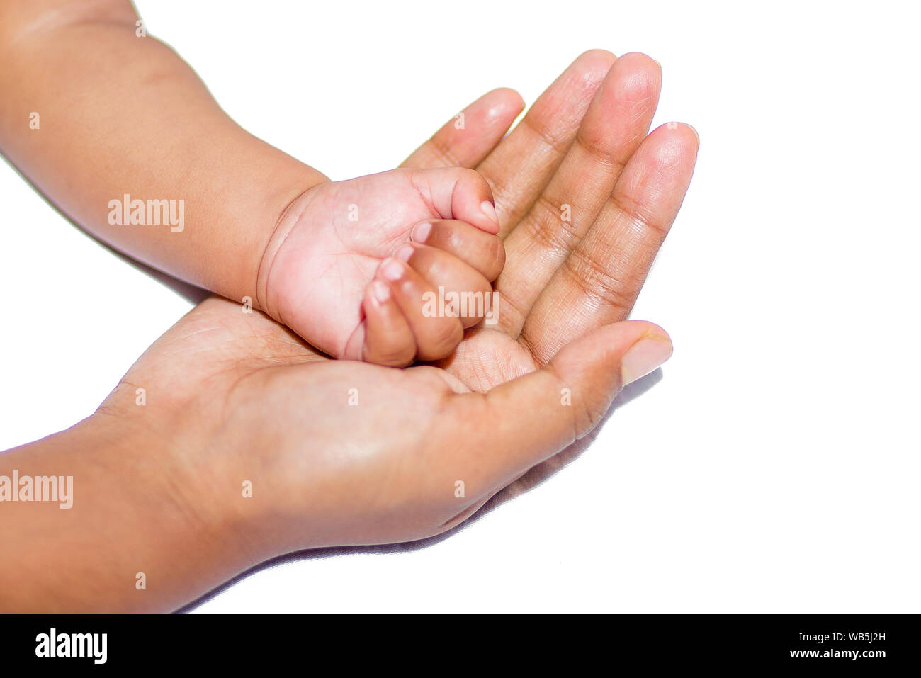A new born baby's soft hand on mother's hand on a white background ...