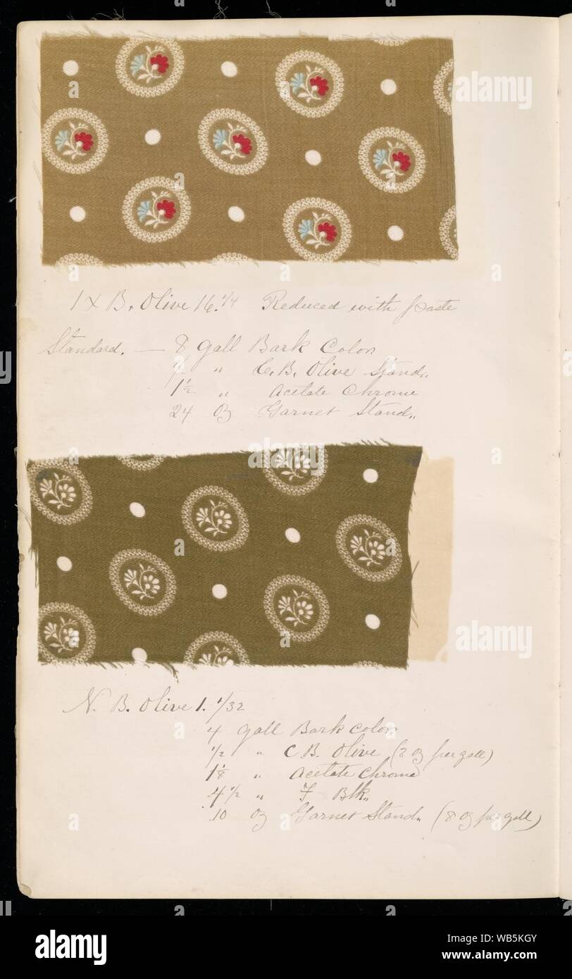 Dyer's Record Book (USA), 1877–88 Stock Photo - Alamy