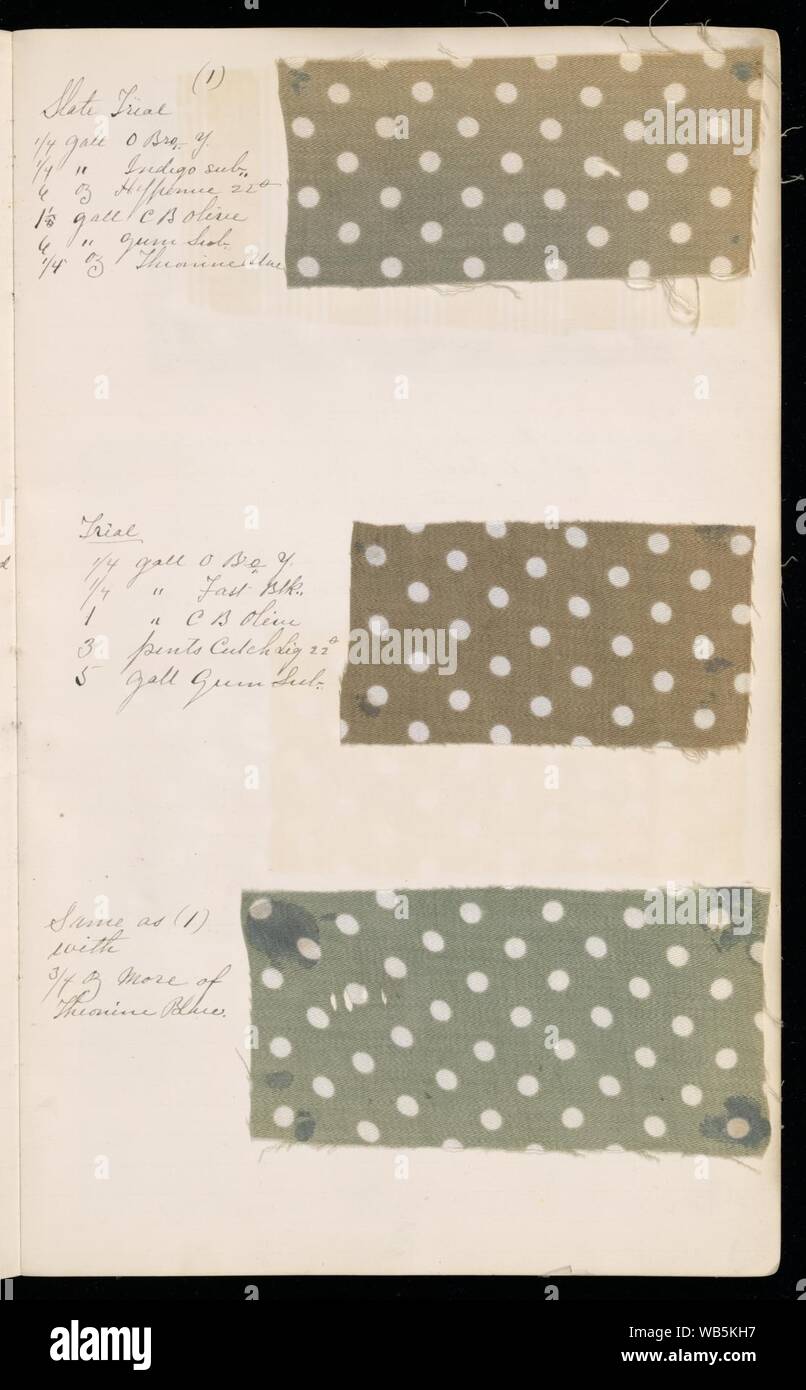 Dyer's Record Book (USA), 1877–88 Stock Photo - Alamy