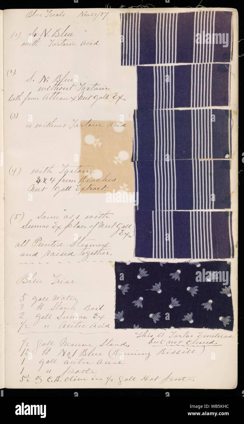 Dyer's Record Book (USA), 1877–88 Stock Photo - Alamy