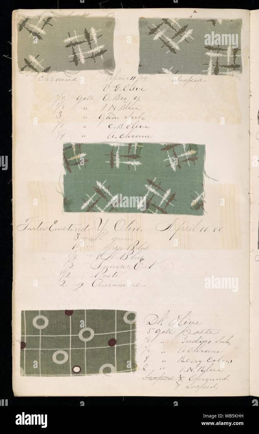 Dyer's Record Book (USA), 1877–88 Stock Photo - Alamy