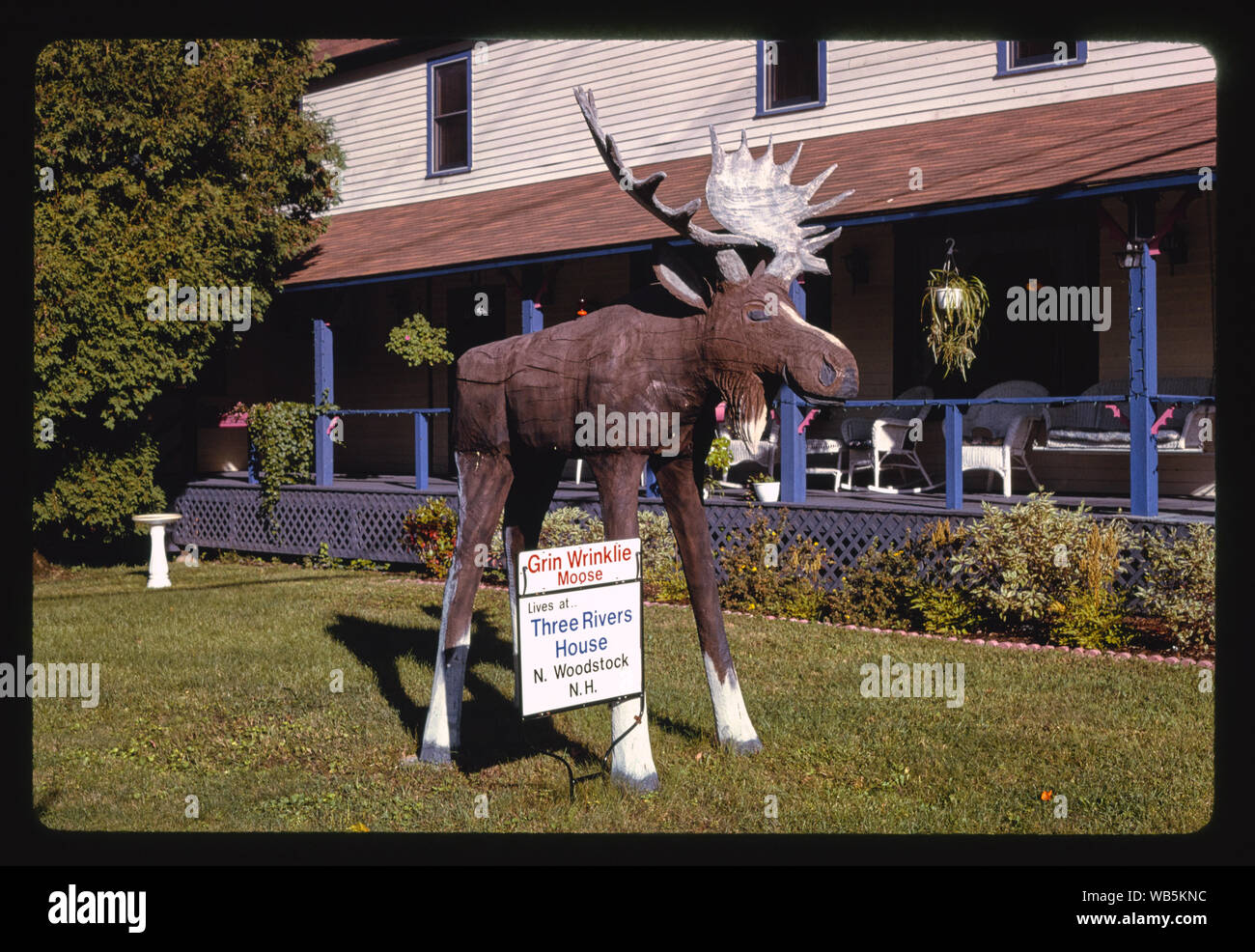 Moose sign new hampshire hi-res stock photography and images - Alamy