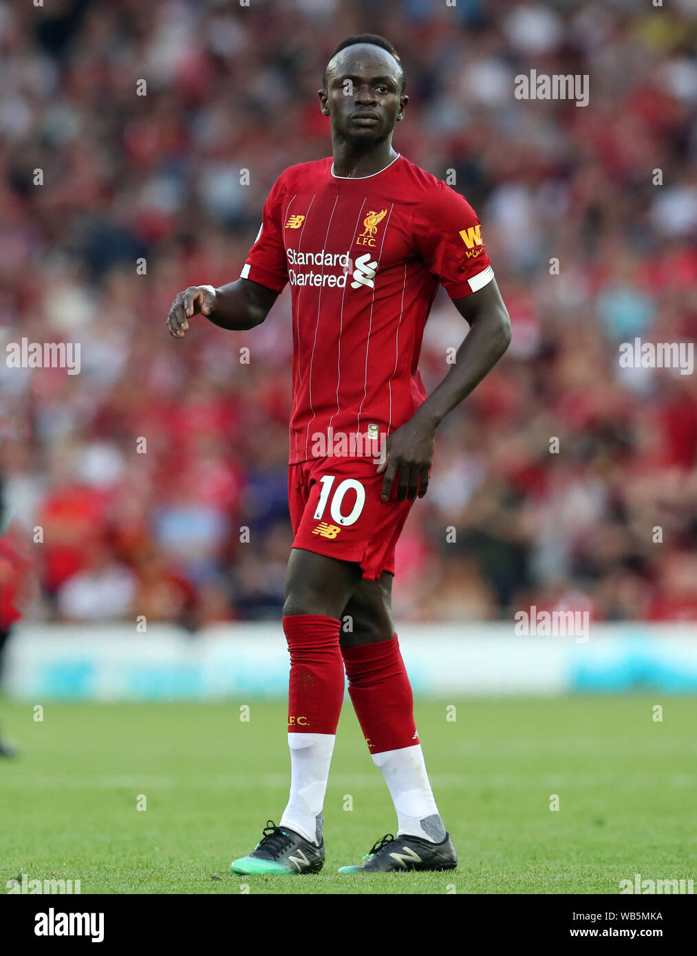 Emu logos hi-res stock photography and images - Alamy