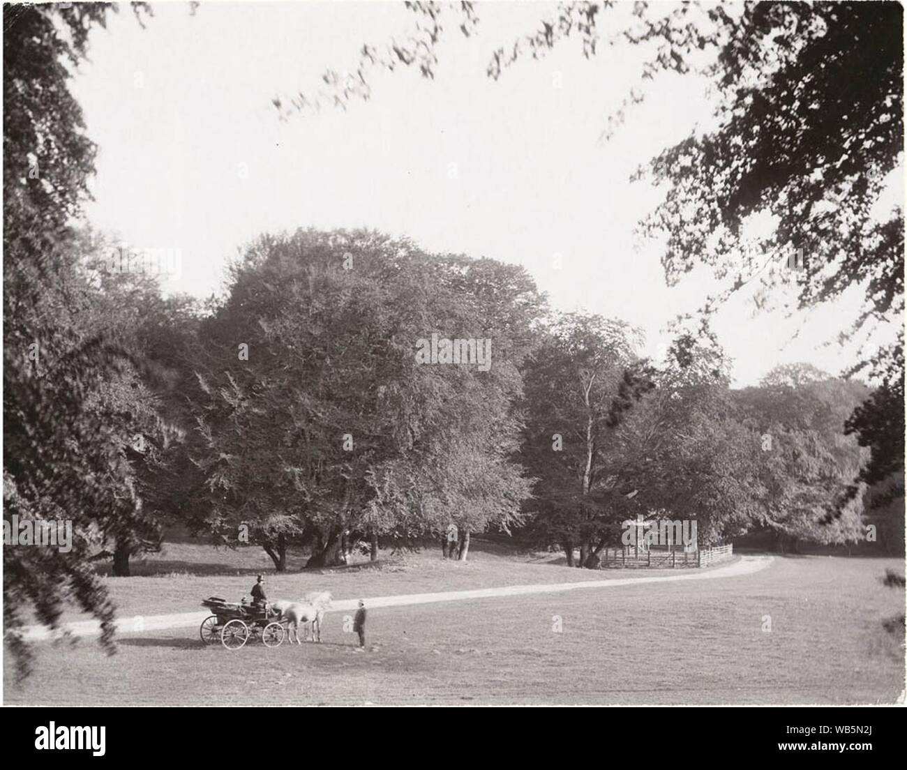 Dyrehaven park copenhagen denmark hi-res stock photography and images ...
