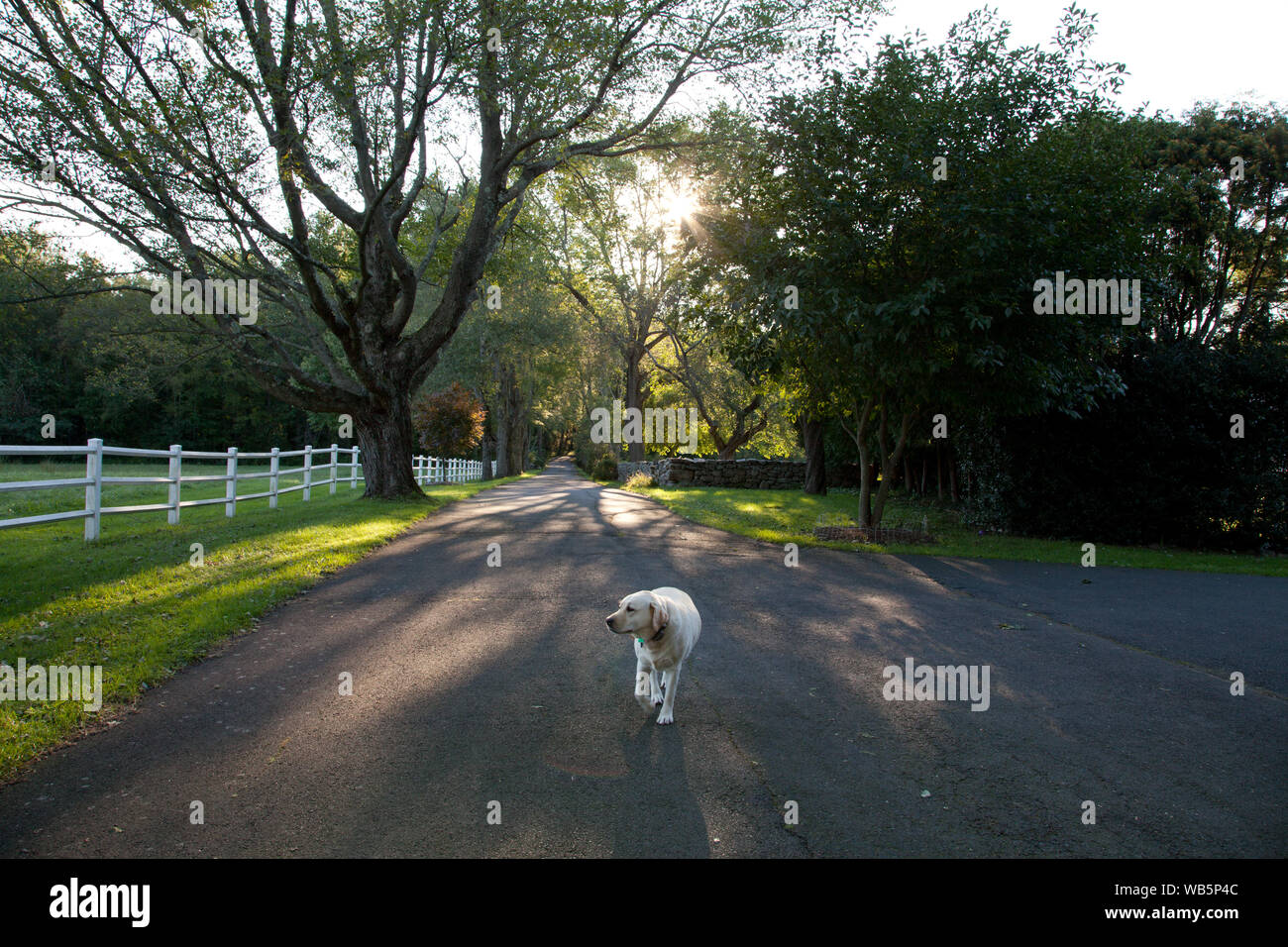 Ridgefield connecticut hi-res stock photography and images - Alamy