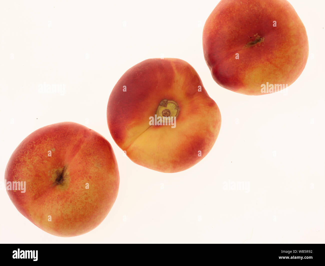 Peach anatomy hi-res stock photography and images - Alamy