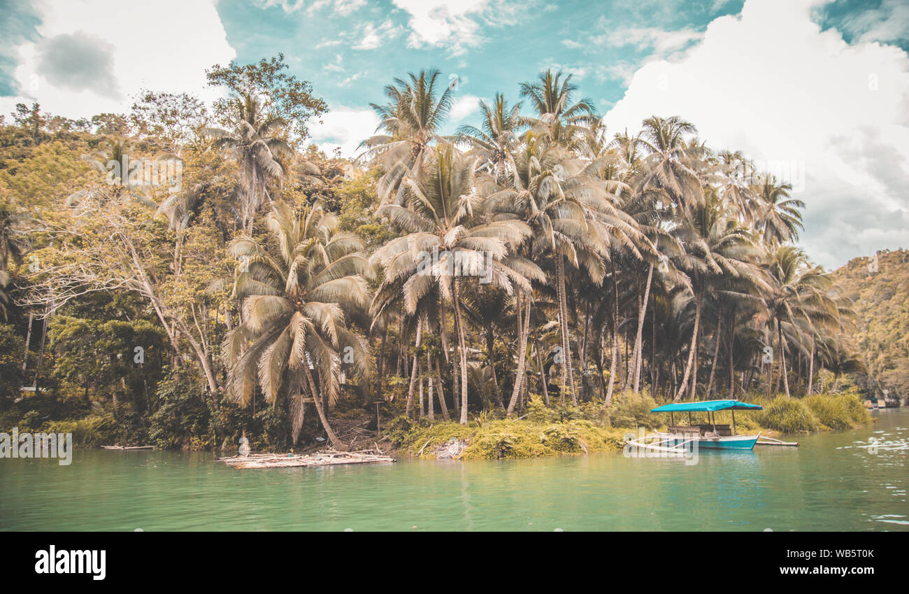 Bohol jungle, tarsier and chocolate hills, in Cebu, Philippines Stock ...