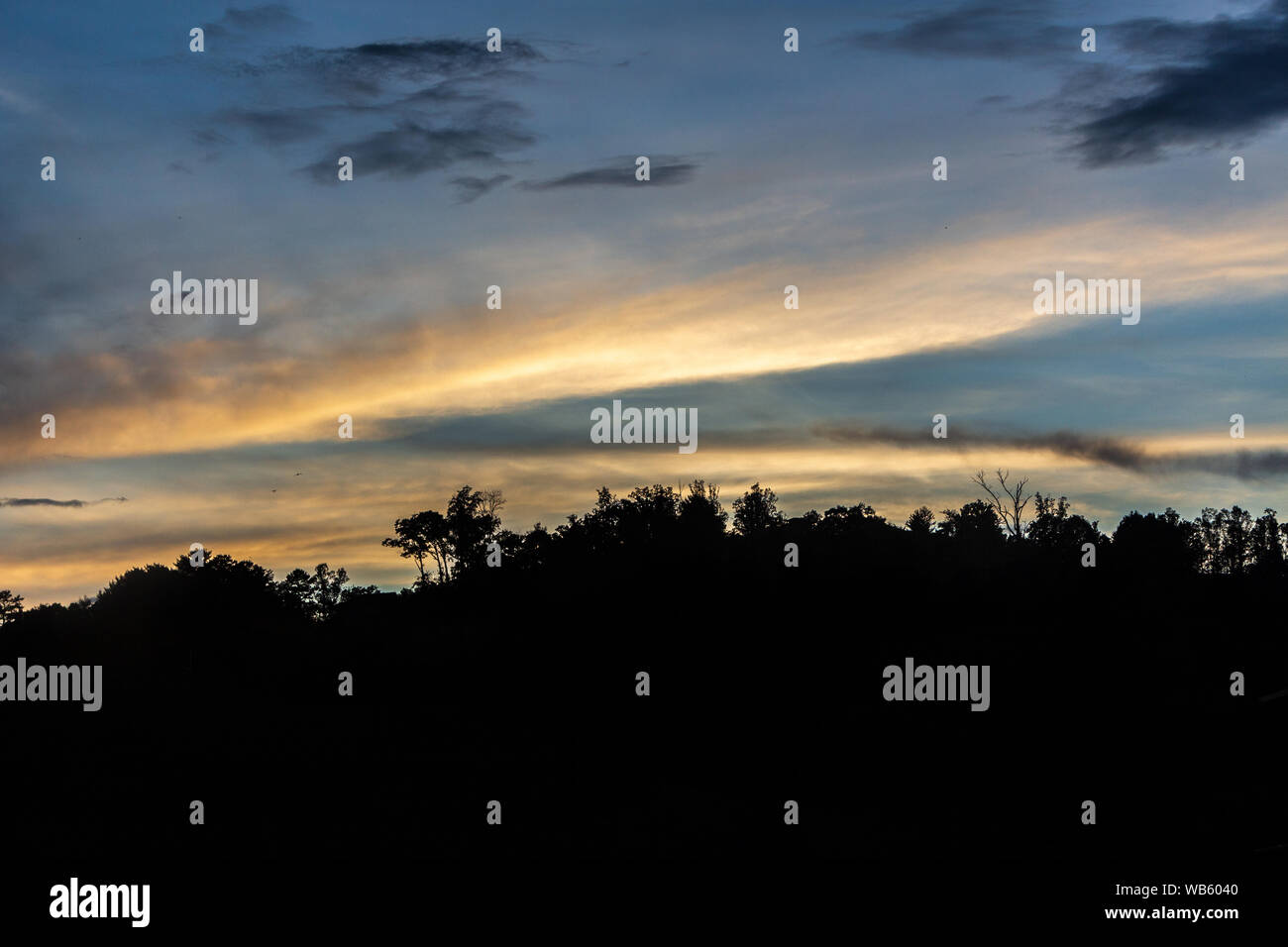 Streaky low-lying stratus clouds create a wave of a silhouette of trees ...