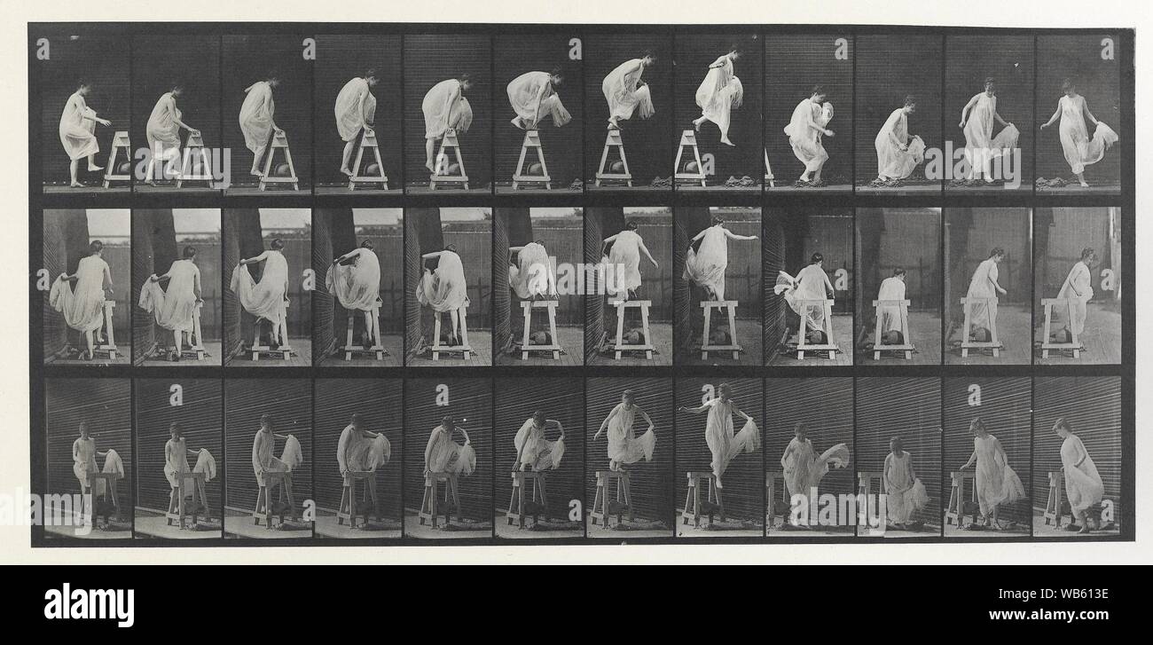 Eadweard muybridge animal locomotion hi-res stock photography and ...