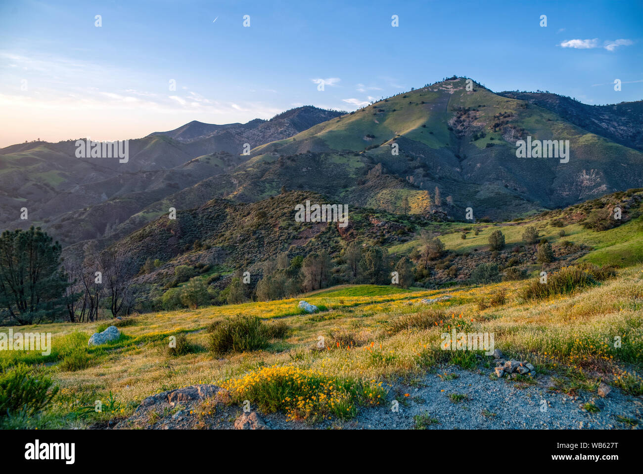 Gently rise to Figueroa Mountain in the Santa Ynez Valley California ...