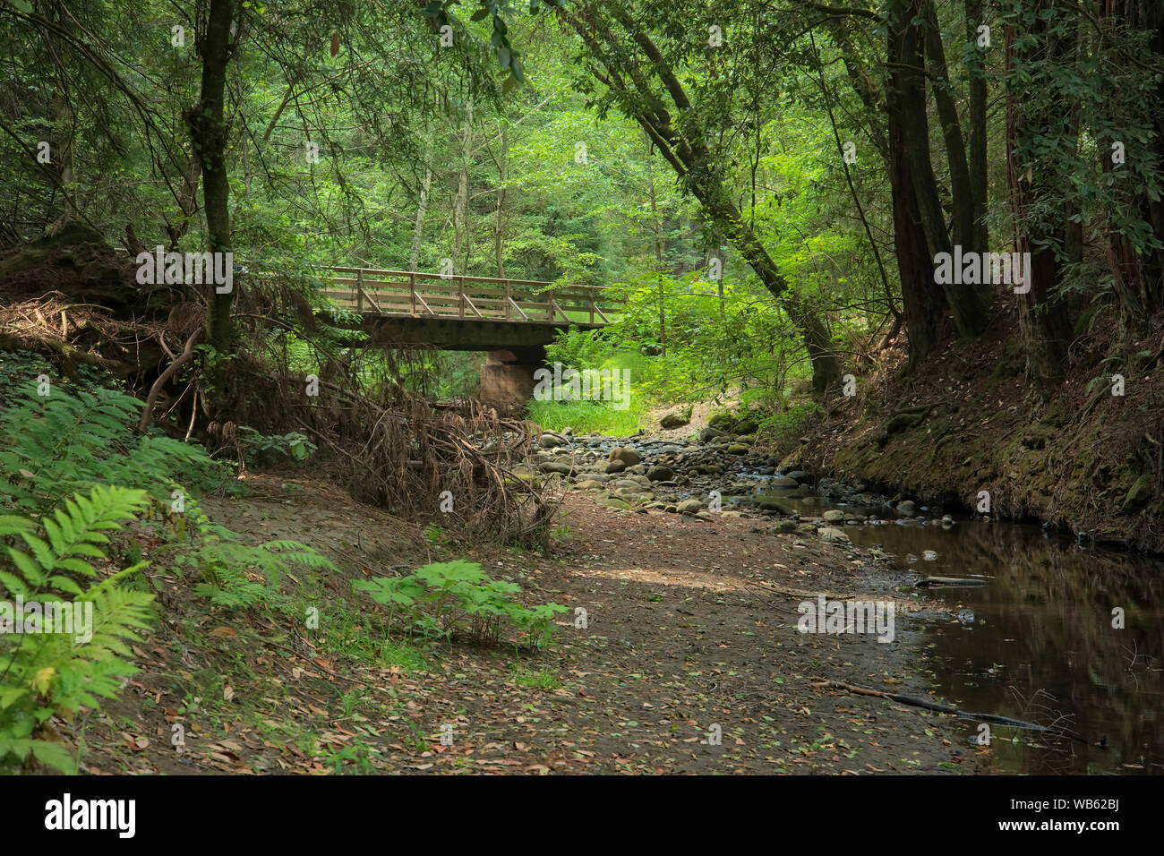 Nicene marks hi-res stock photography and images - Alamy