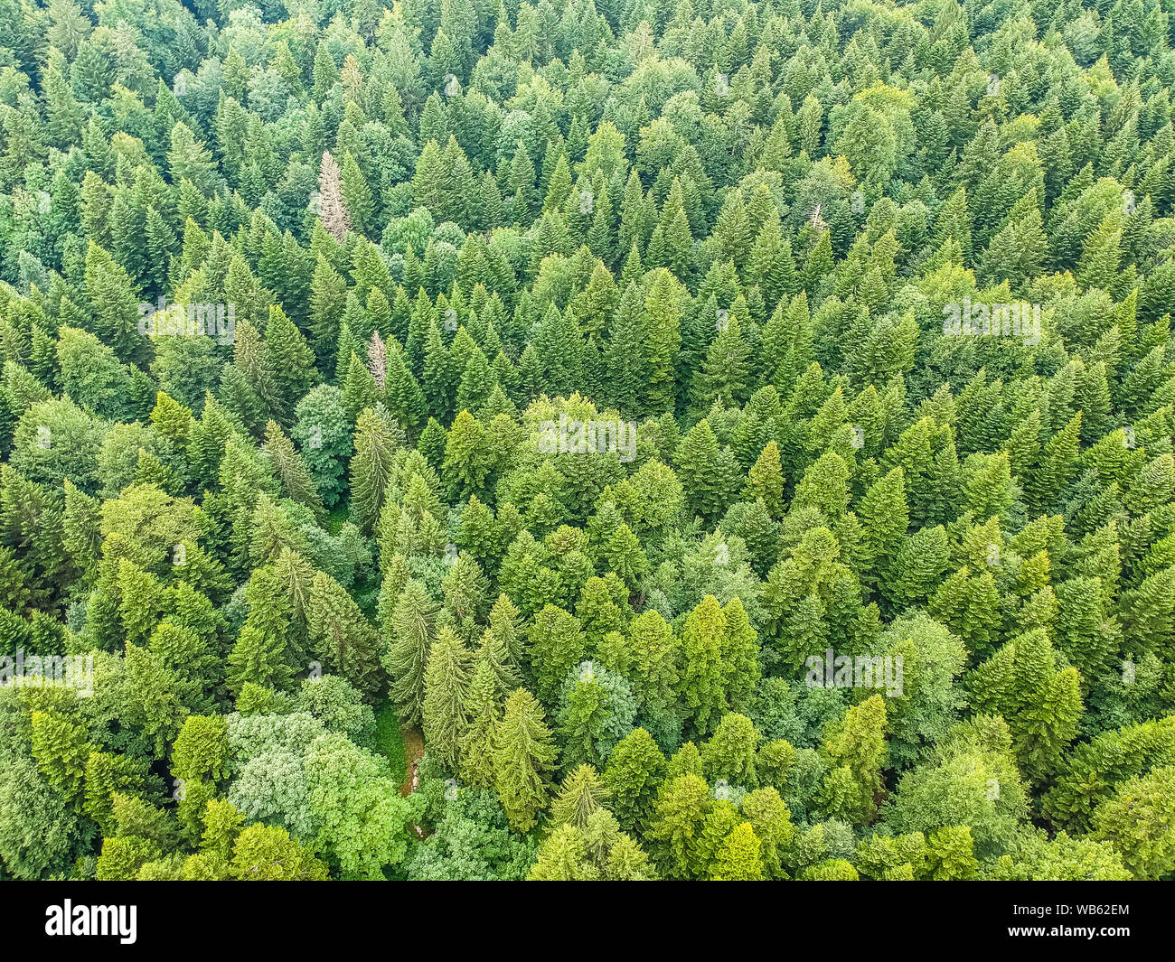 Bosnian mountains hi-res stock photography and images - Alamy