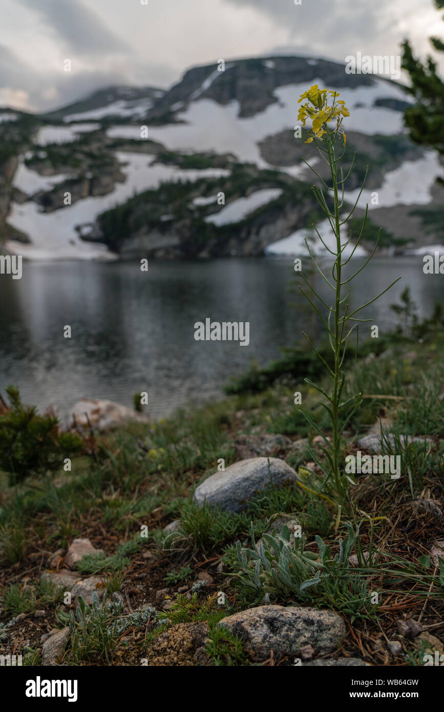 Indian peaks wild hi-res stock photography and images - Alamy