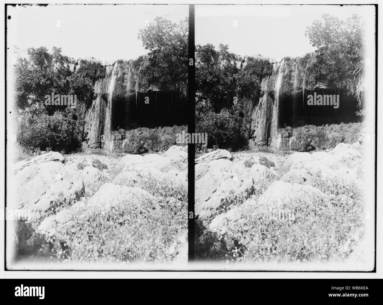 East of the Jordan and Dead Sea. Springs of Moses Stock Photo - Alamy