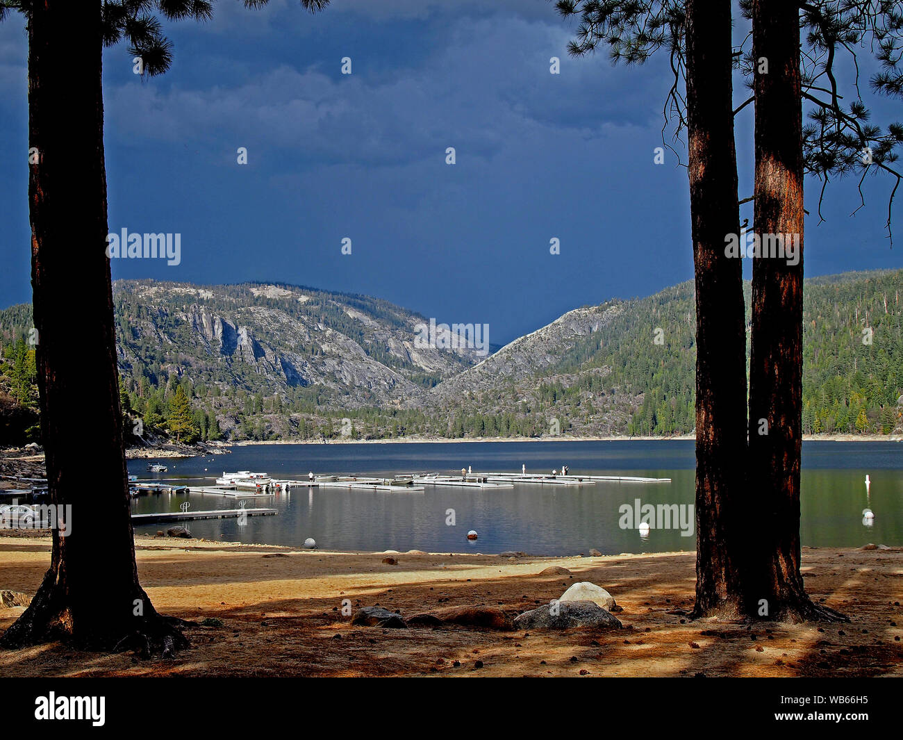 Pinecrest hi-res stock photography and images - Alamy