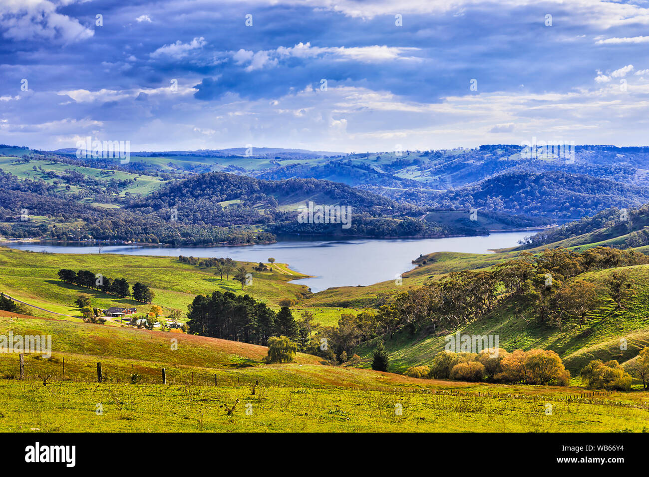Cattle river fence hi-res stock photography and images - Alamy