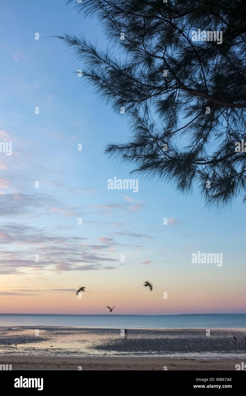 East Point Beach Darwin High Resolution Stock Photography and Images ...