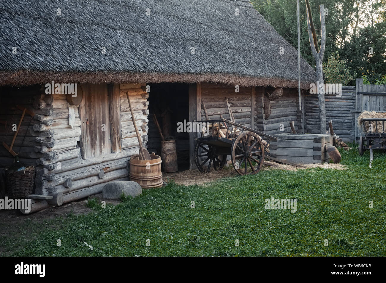 Retro belorussian barn with thatched roof and a backyard Stock Photo ...
