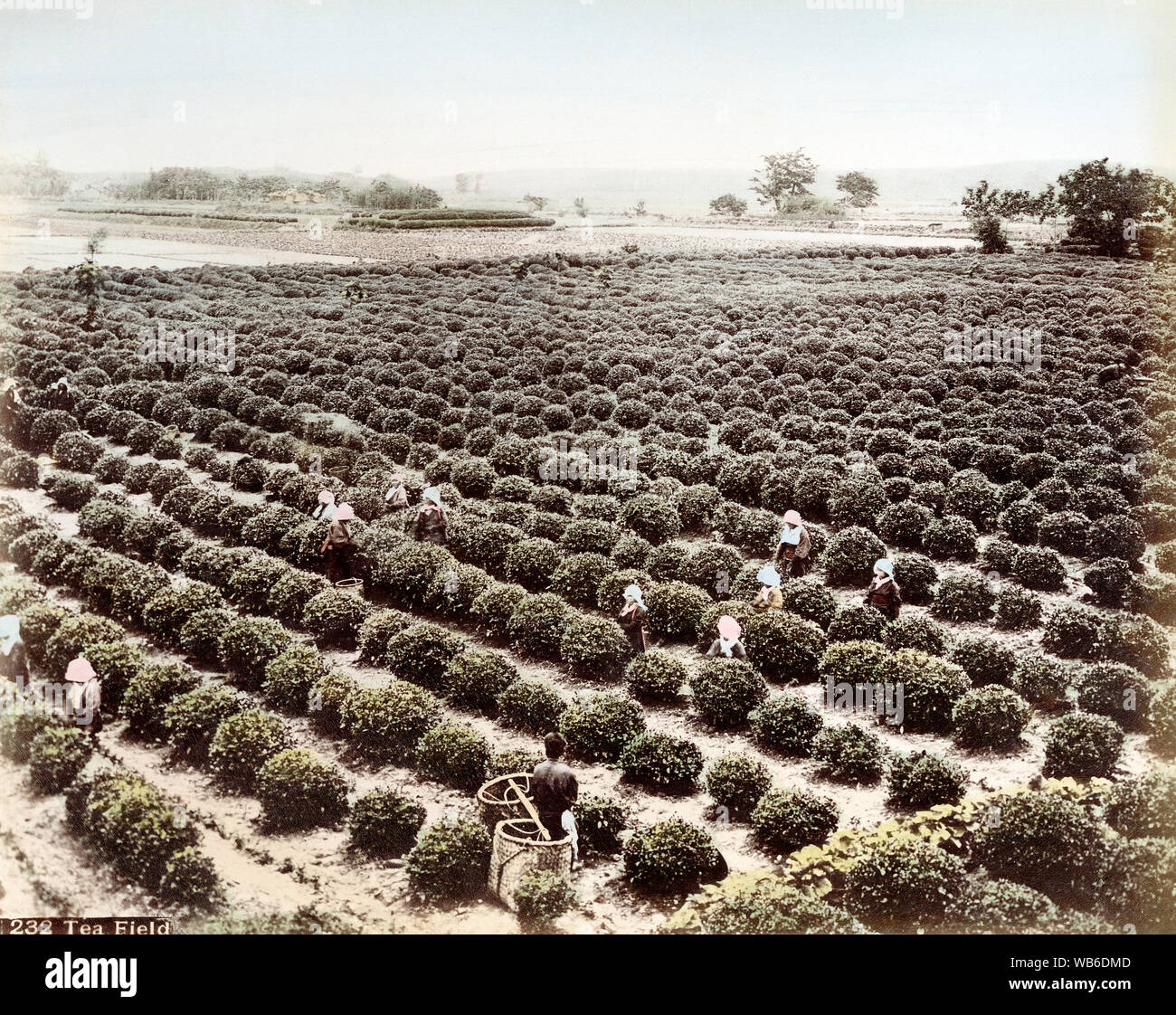 1890s agriculture hi-res stock photography and images - Alamy