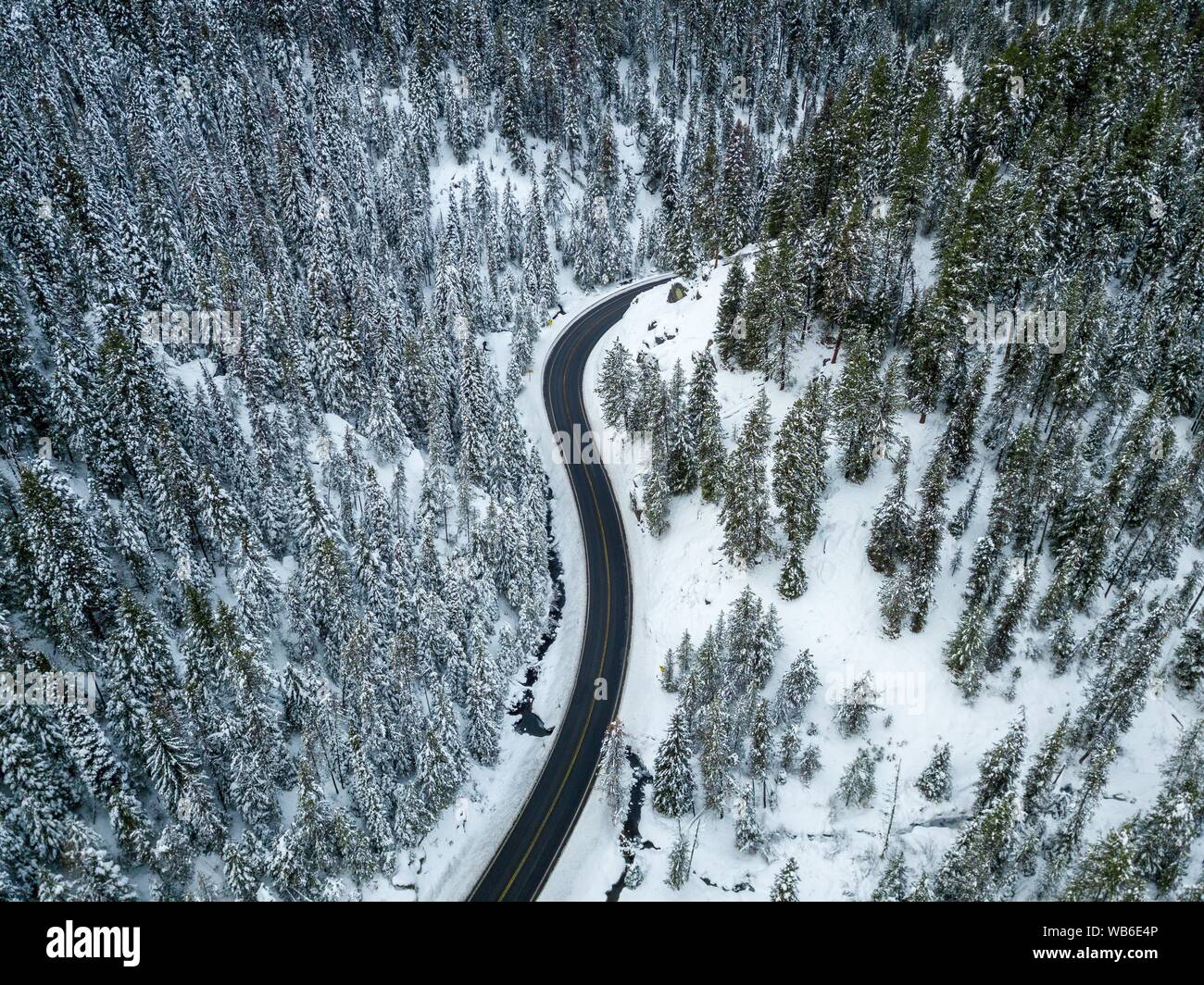Aerial shot path in pine hi-res stock photography and images - Alamy