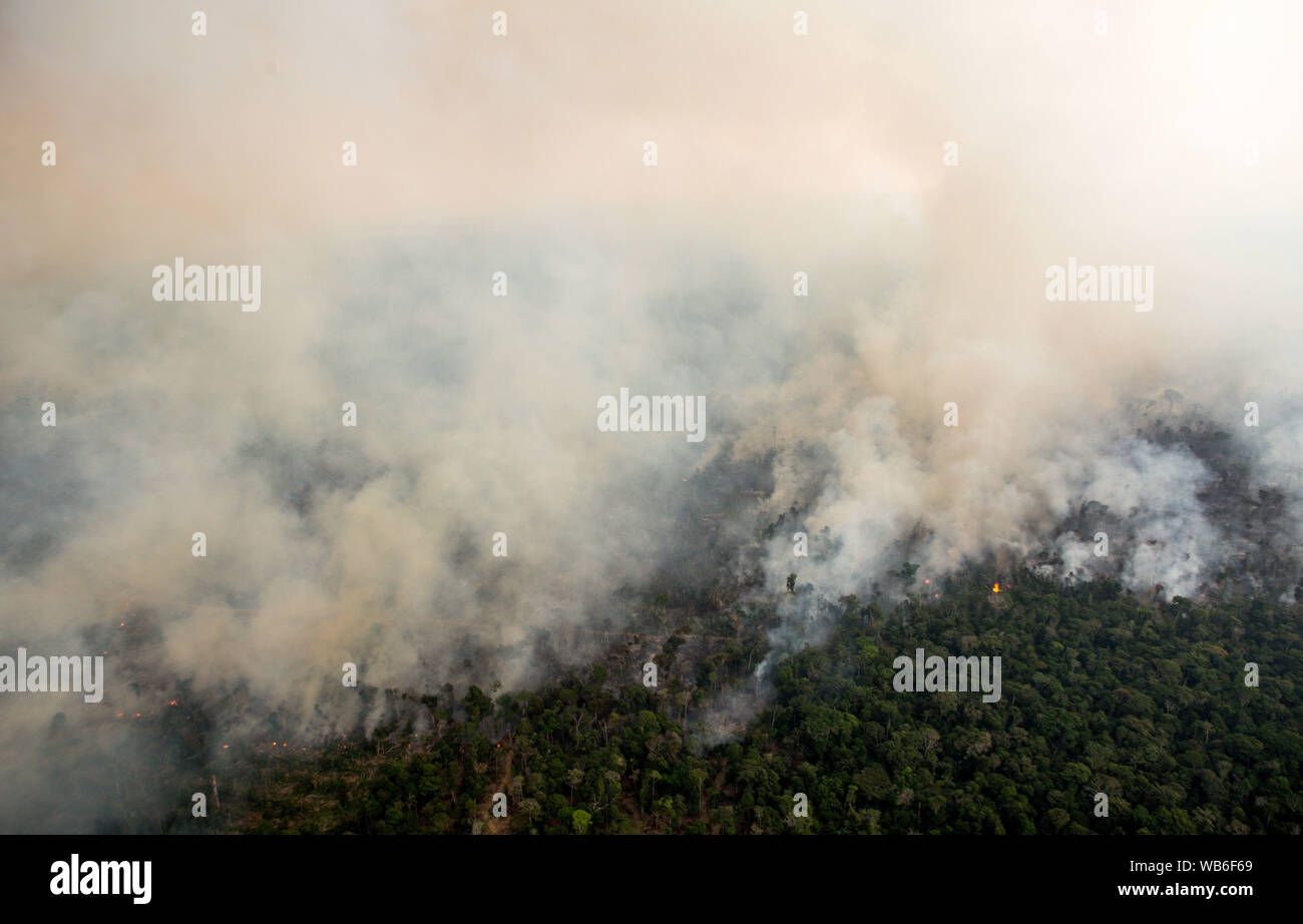 Porto Velho, Brazil. 24th Aug, 2019. Aerial scenes show fires in ...