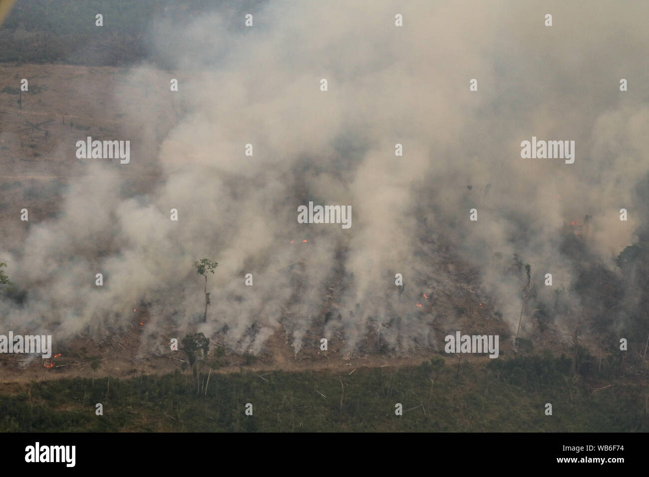 Amazon rainforest fires aerial 2019 hi-res stock photography and images ...