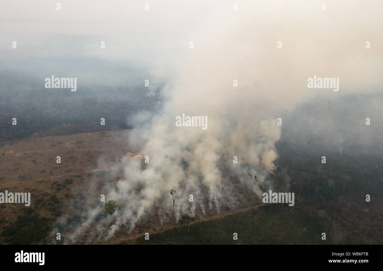 Amazon rainforest fires aerial 2019 hi-res stock photography and images ...