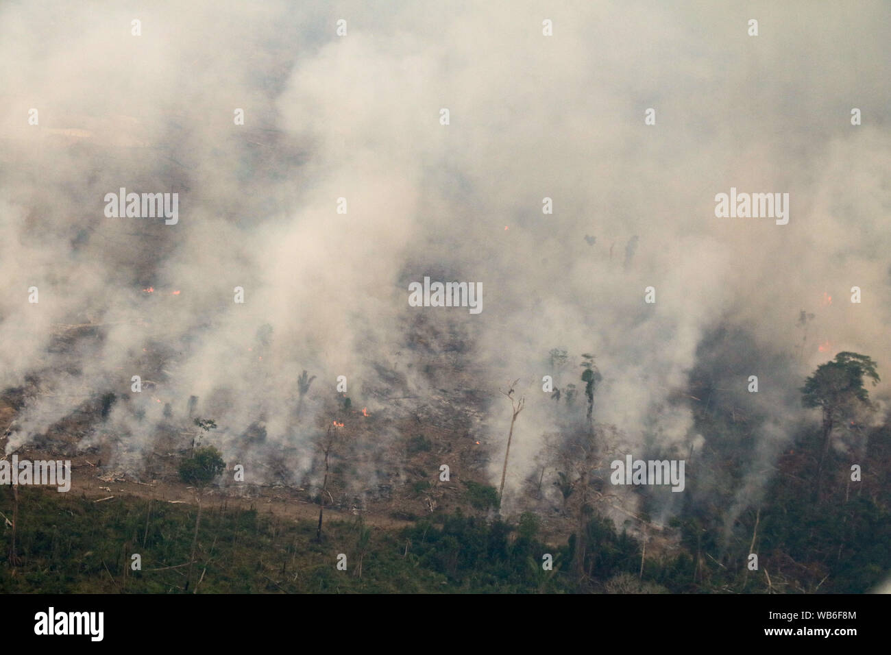 Amazon rainforest fires aerial 2019 hi-res stock photography and images ...