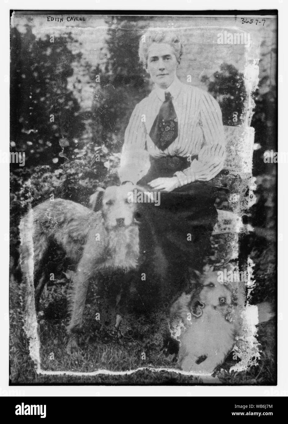 Edith cavell Black and White Stock Photos & Images - Alamy