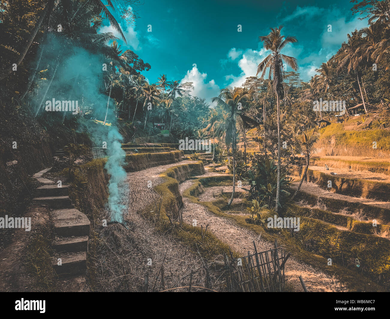 Tegallalang Rice Terraces from above, in Ubud, Bali, Indonesia Stock ...