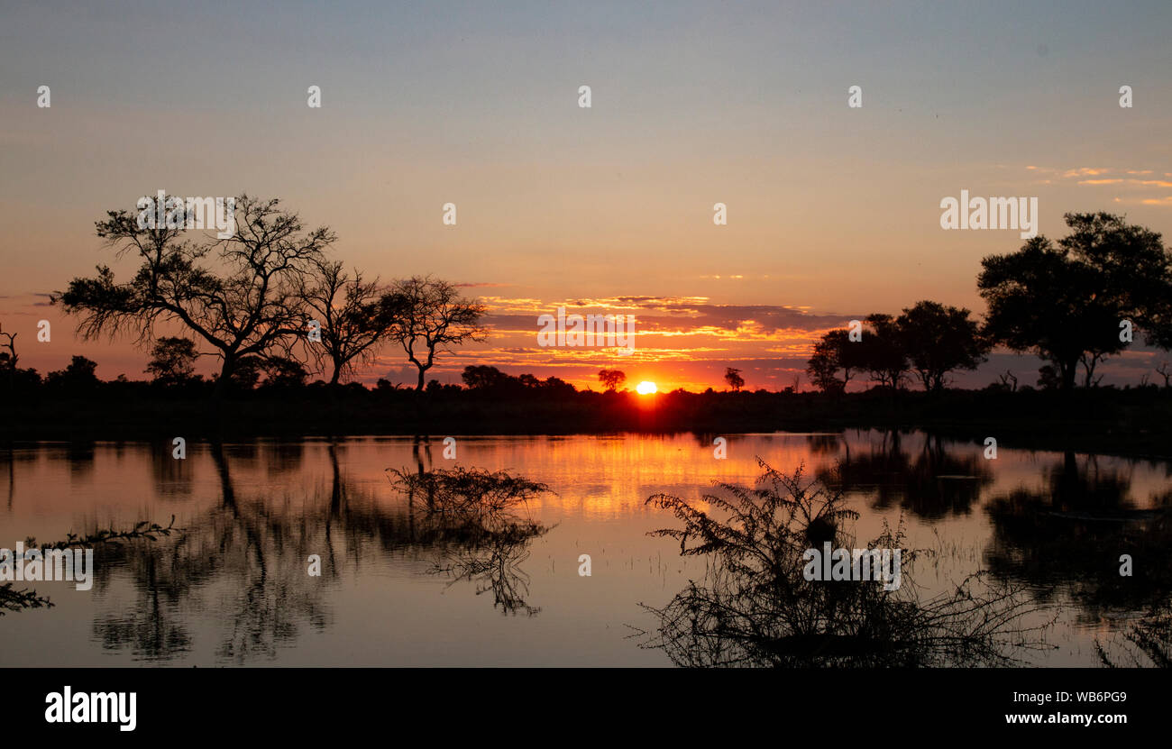 Sunset over a water hole in the Okavango Delta region of Botswana ...