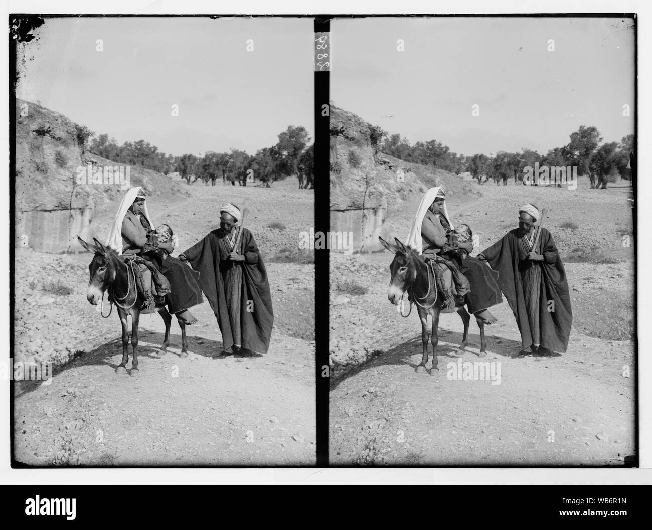 Family Abstract/medium: G. Eric and Edith Matson Photograph Collection ...