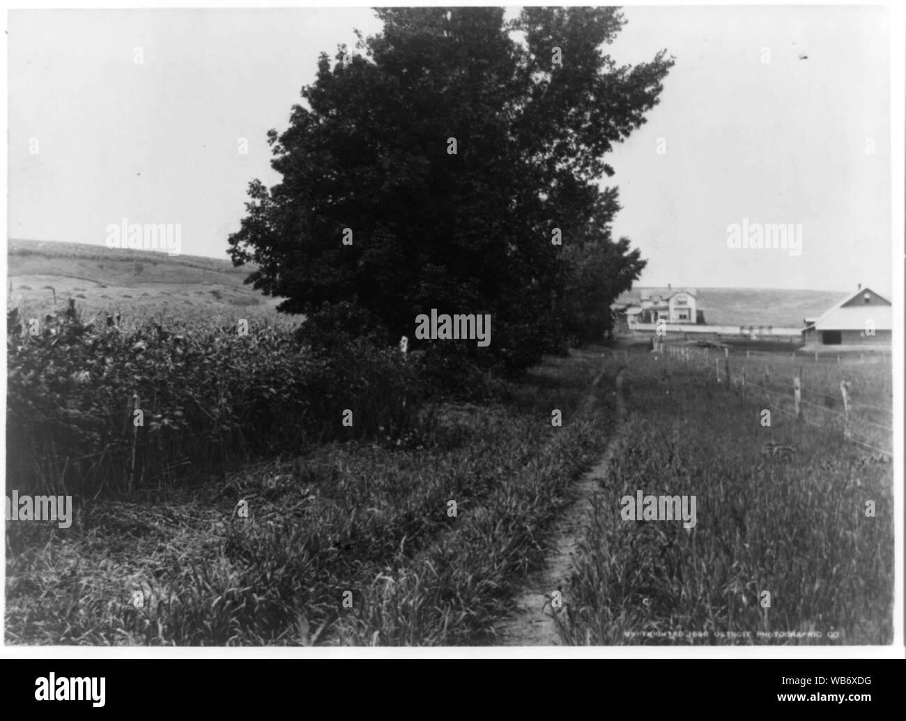 Farm near Arion, Boyer Valley, Iowa Abstract/medium: 1 photographic ...