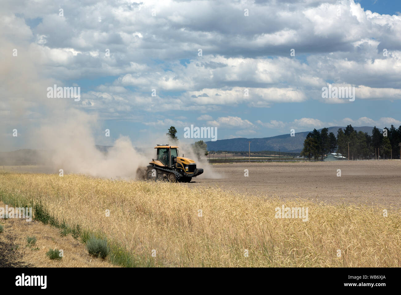 Farm scene in dry Macdoel, California Stock Photo - Alamy