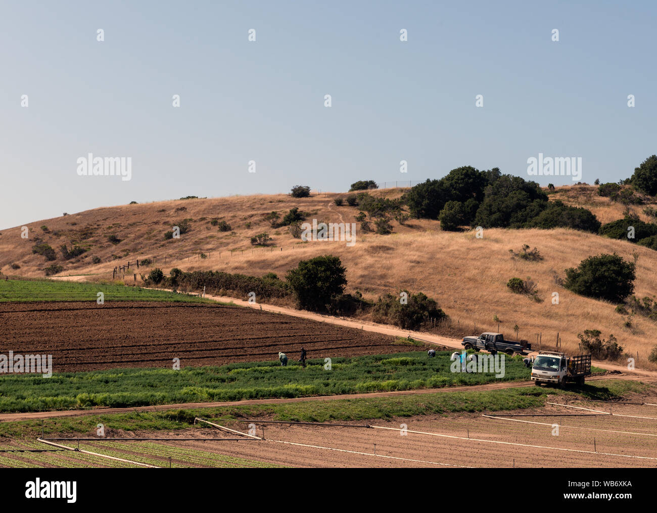 Farm scene near Watsonville, California Stock Photo - Alamy