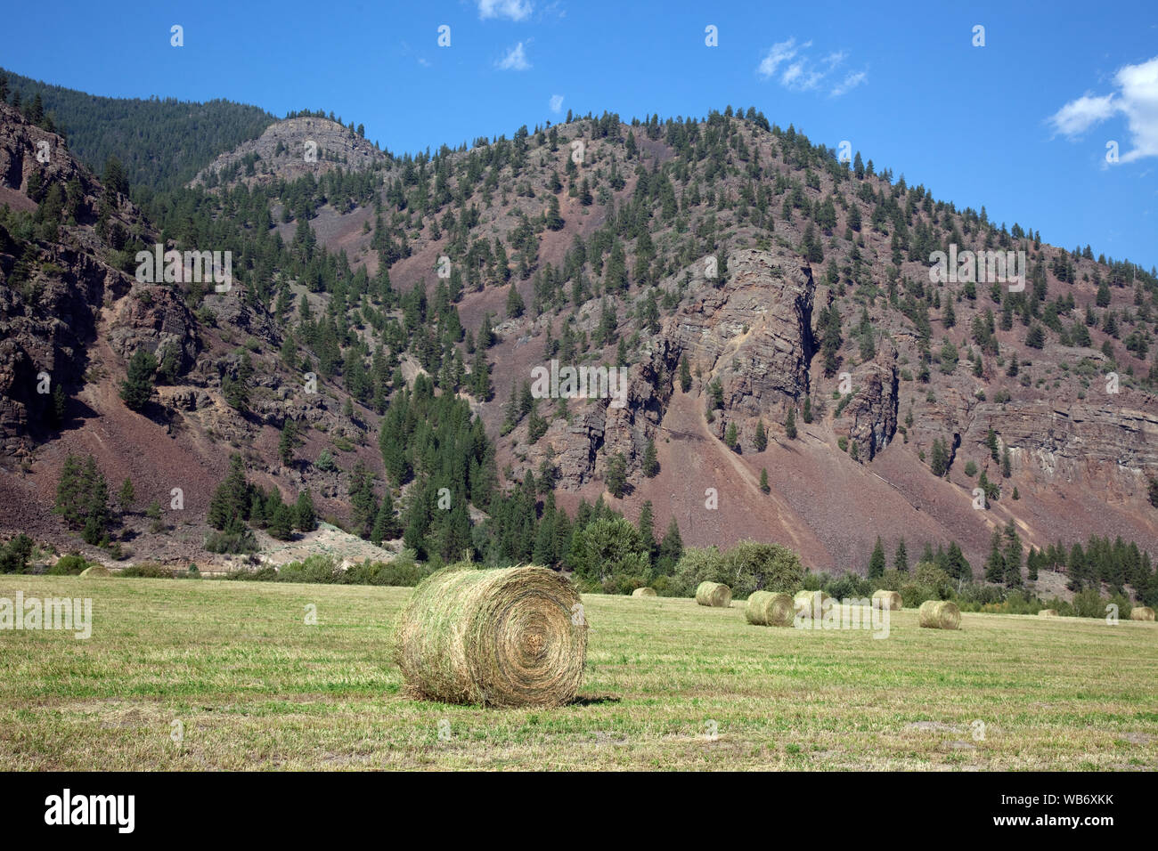 Farm scene in rural Montana Stock Photo - Alamy